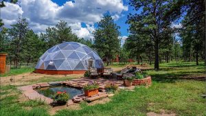14 Geodesic Dome Greenhouse Ideas - All You Need to Know