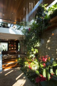 37 Lively Atrium Homes for Stunning Spaces
