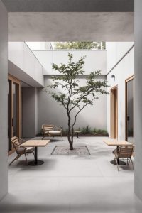 31 Open Courtyard Designs That Merge Nature and Architecture
